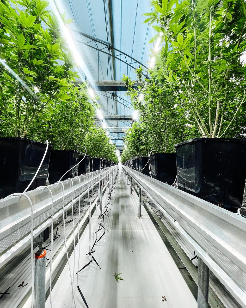 OnlyFarms - Grow, Buy, Sell and Invest in agriculture